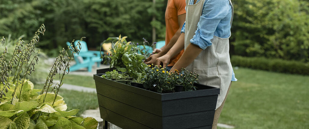 Keter - Sheds, Deck Boxes and More