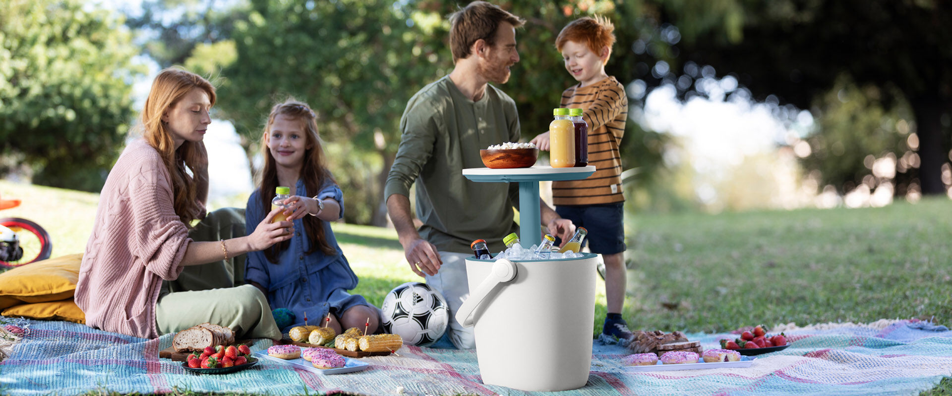 countryGateway.description.alternative